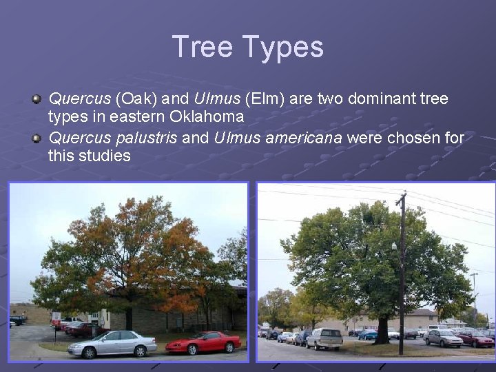 Contribution of LeafSurface Fungi to the Air Spora