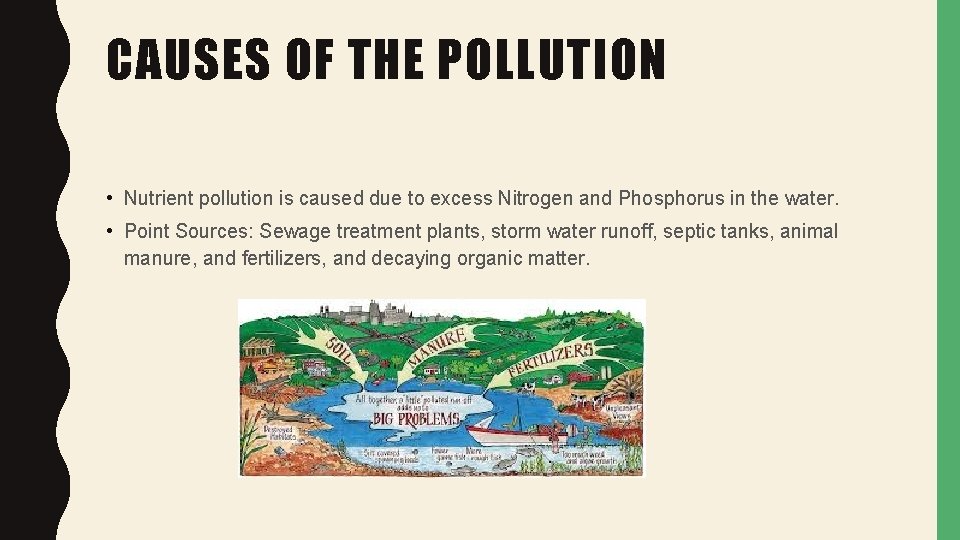 PLANT NUTRIENTS DIEGO AND LORENZO TYPE OF POLLUTION
