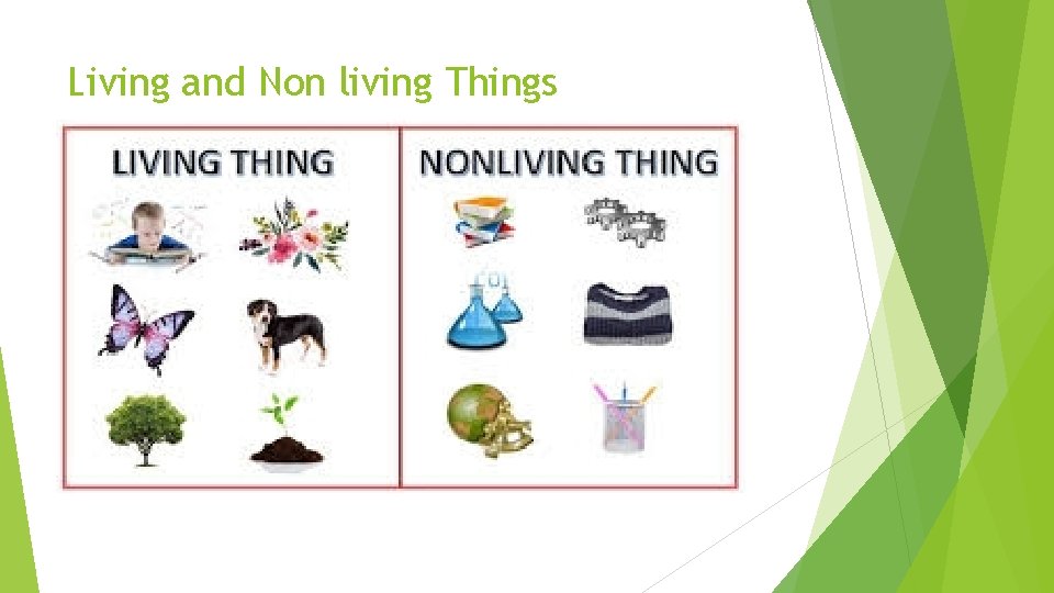 General Science Living and Nonliving Things Plants Useful