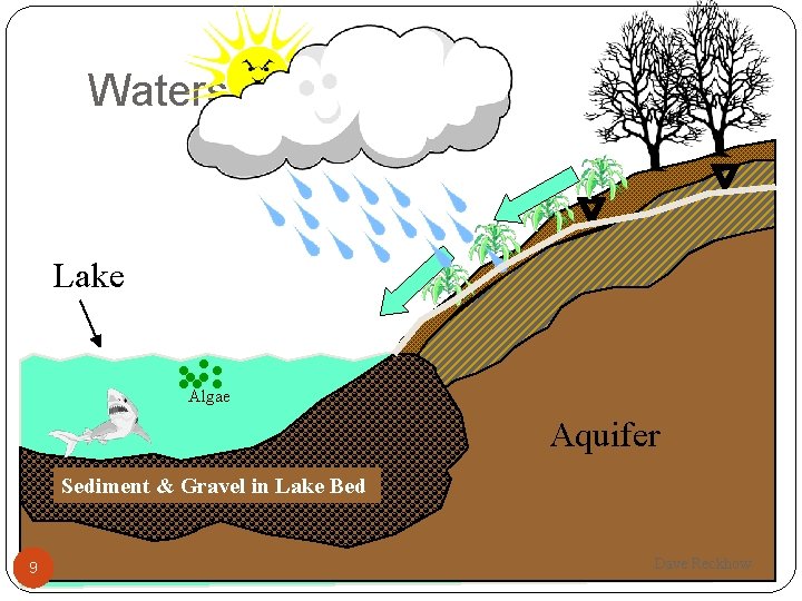 Natural Organic Matter in Water Formation in Watersheds