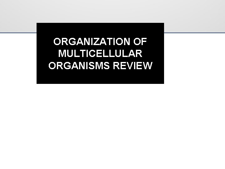 ORGANIZATION OF MULTICELLULAR ORGANISMS REVIEW A GROUP OF