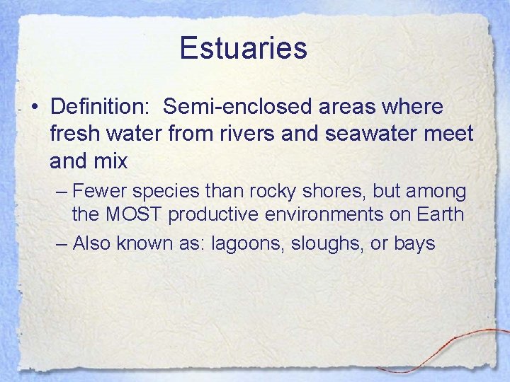 Estuaries Where Rivers Meet the Sea Estuaries Definition