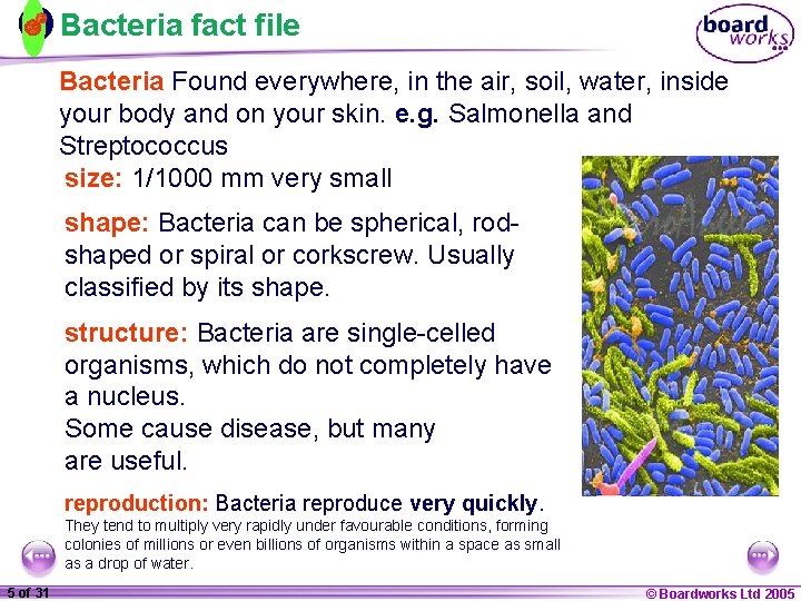 Unit 7 Microbes Diseases 8 L 1 1