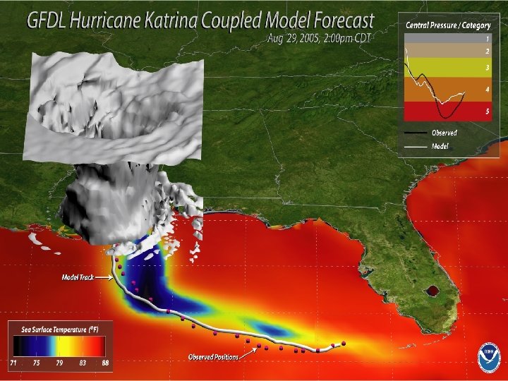 The Levels of Government during Hurricane Katrina Branches