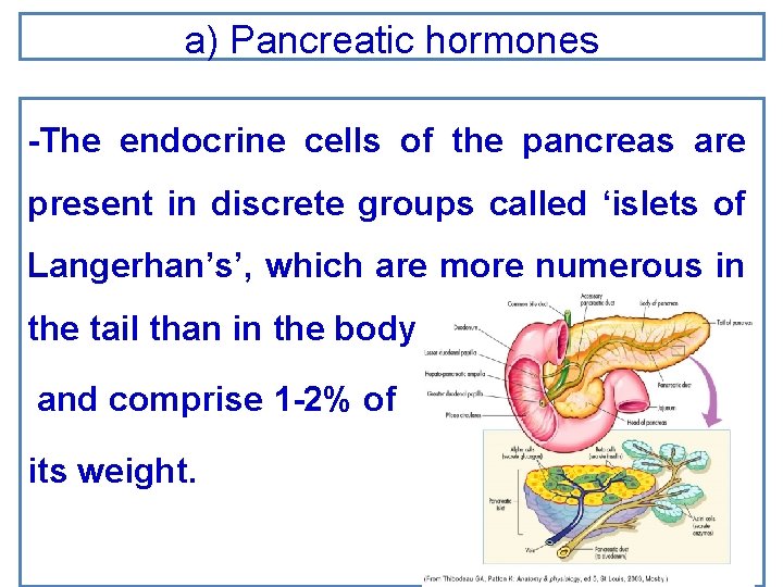Regulation of blood glucose Endocrine regulation of blood