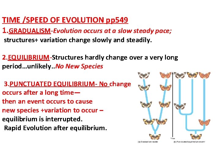 UNIT 6 FOSSILS EVOLUTION cast fossils formed when