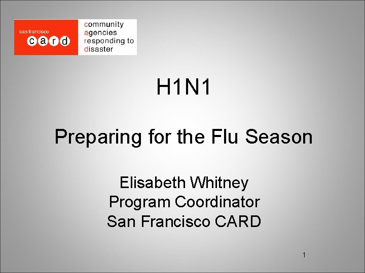 H 1 N 1 Preparing for the Flu