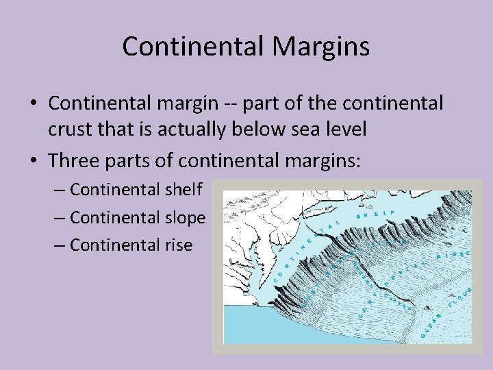 Bell Ringer What is one way humans are