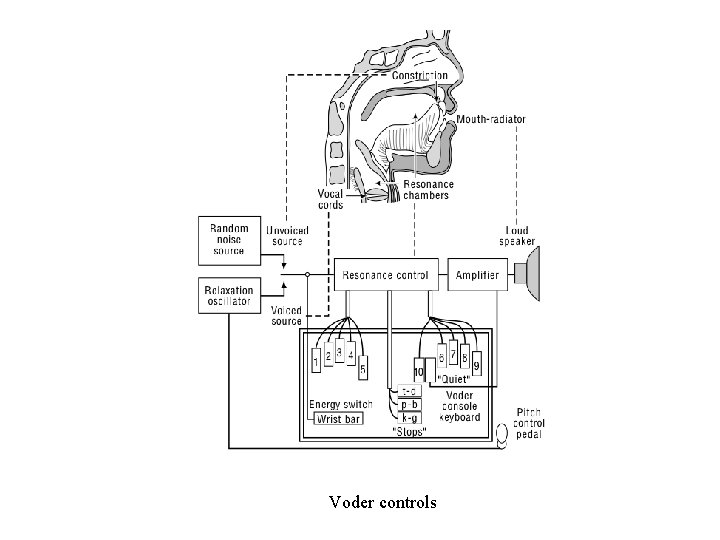 EE 225 D Section I Broad background Synthesisvocoding