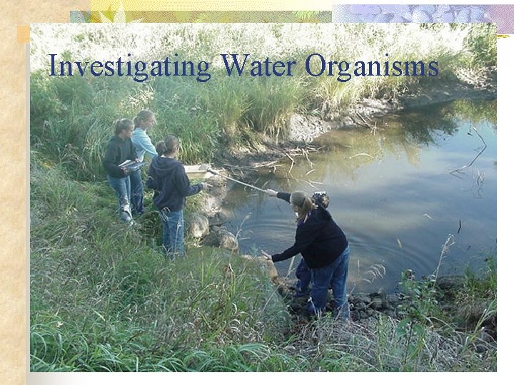 Back To School Night n Mrs Frederick n