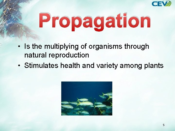 Propagation of Aquatic Plants 1 Objectives 1 To