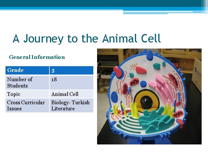 A Journey to the Animal Cell Burin GM