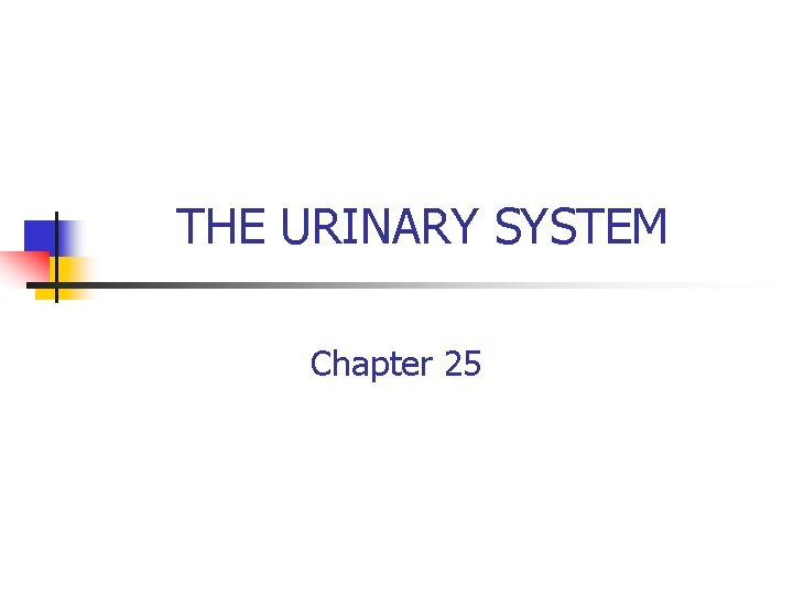 THE URINARY SYSTEM Chapter 25 Introduction n n