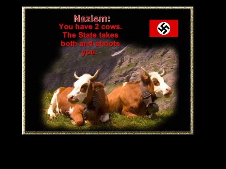 Holy Cow The Tale of Two Cows Socialism
