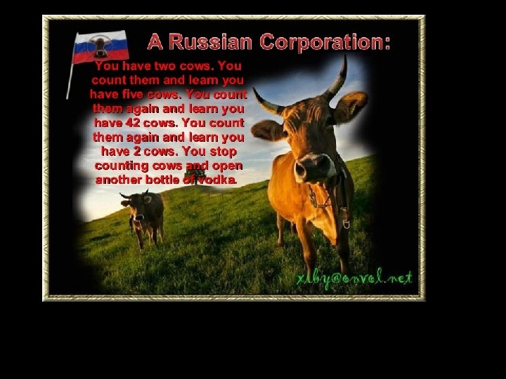 Holy Cow The Tale of Two Cows Socialism