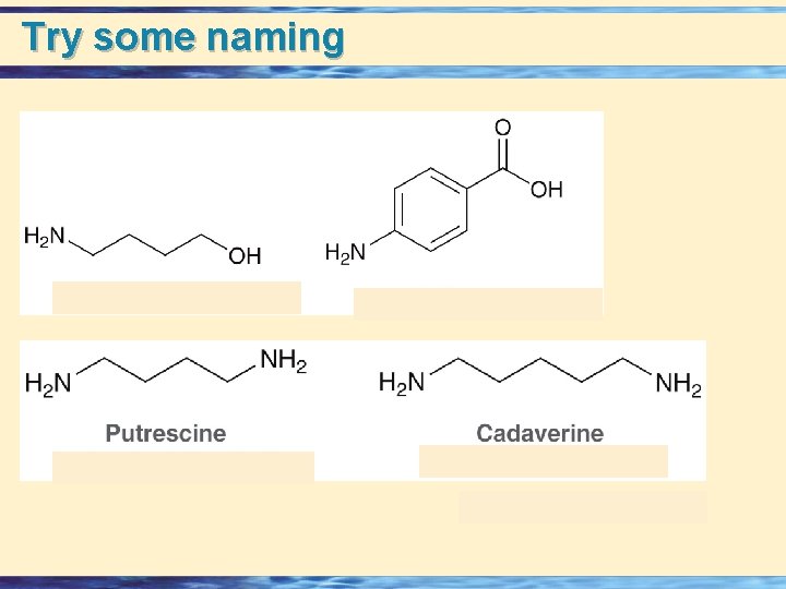 Amines Indigo used in blue dyes can be