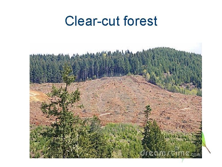 Chapter 3 2 Forests and Fisheries PreChapter Activity
