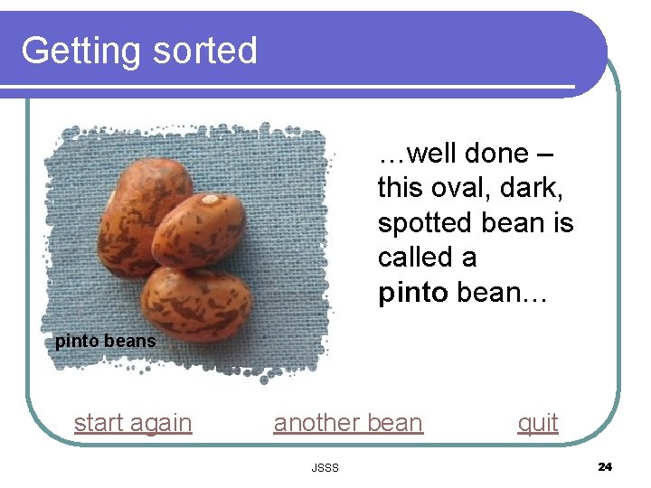 Getting sorted OB 38 understand how to use
