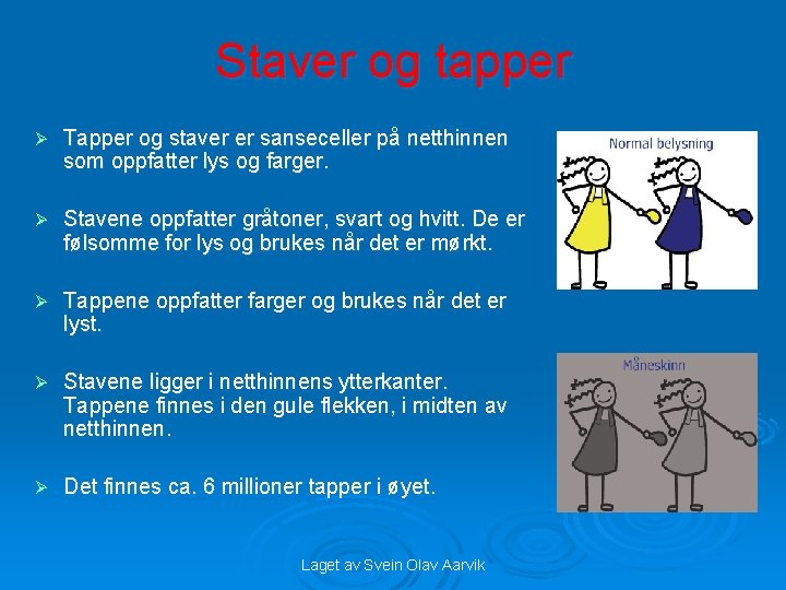YET yets ulike deler og deres funksjoner Laget