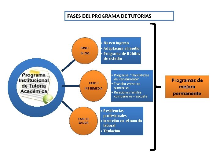 FASES DEL PROGRAMA DE TUTORIAS FASE I INICIO