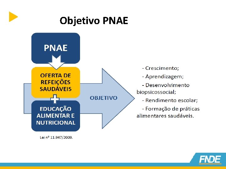 PROGRAMA NACIONAL DE ALIMENTAO ESCOLAR PNAE PROGRAMA NACIONAL