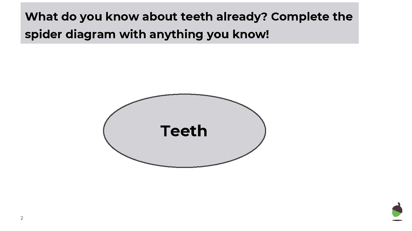 Are all teeth the same Science Human Anatomy
