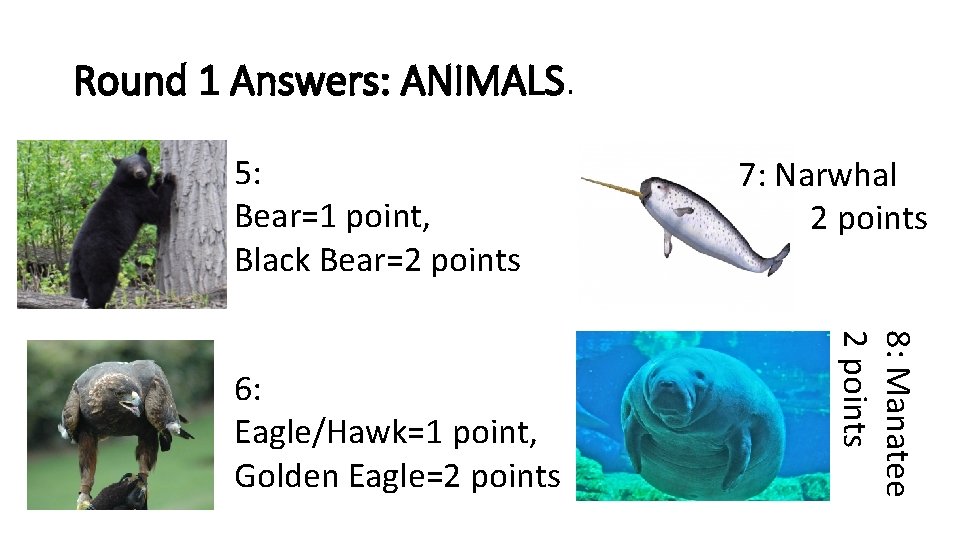 Scarlets Quiz 6 Rounds Animals Food Books Maths