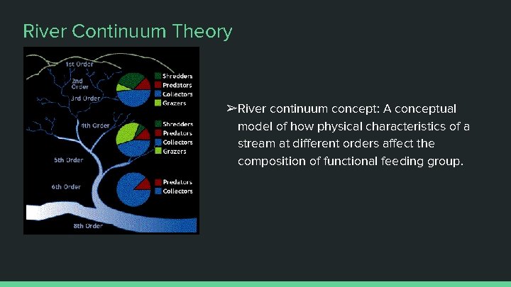 Correlation of Macroinvertebrates with Watershed Characteristics Emily ...