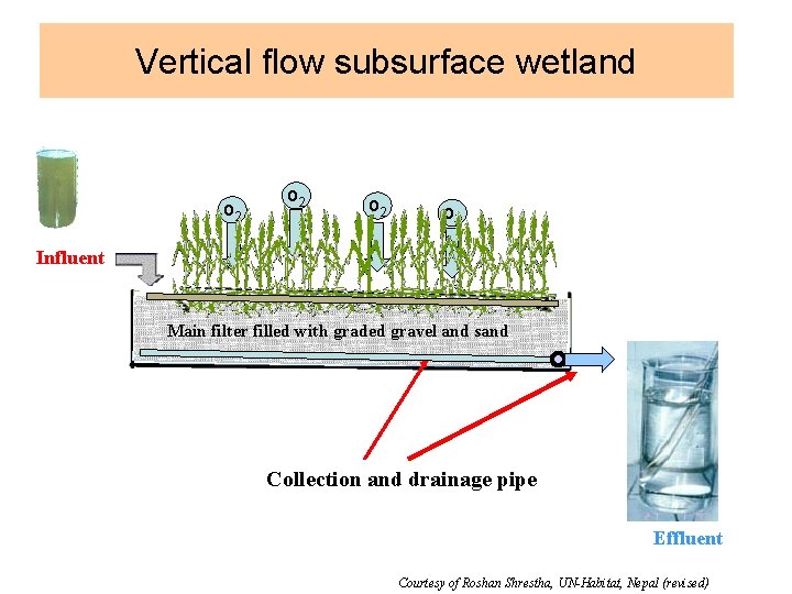 Lowtech solutions Aerobic ponds Facultative ponds Anaerobic ponds