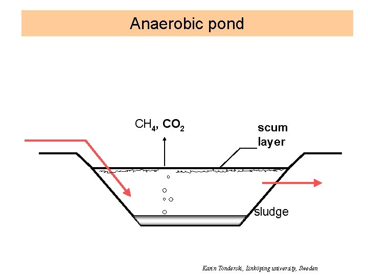 Lowtech solutions Aerobic ponds Facultative ponds Anaerobic ponds