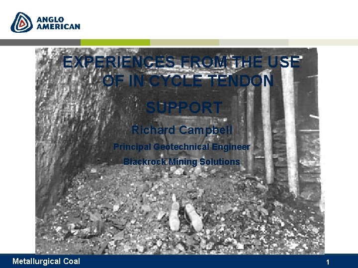 EXPERIENCES FROM THE USE OF IN CYCLE TENDON