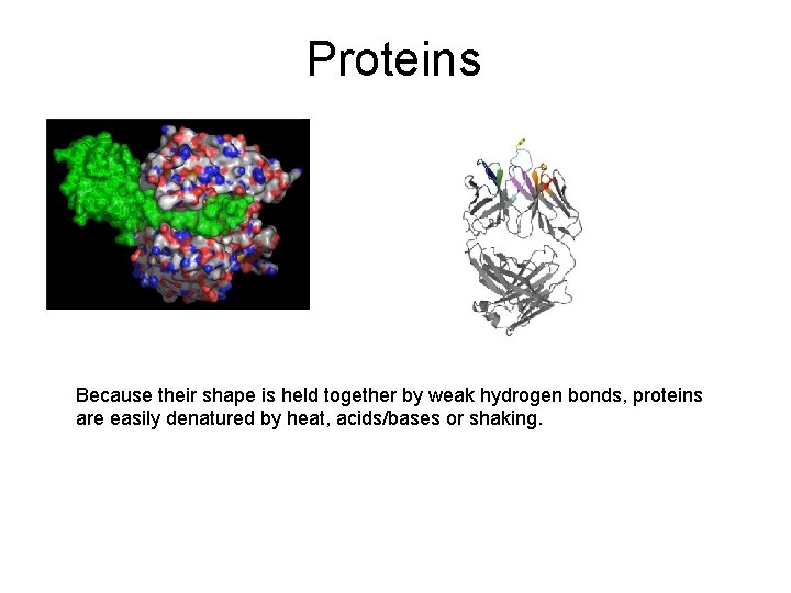 APBiology Critical Concepts The Carbohydrates Energy Structure The