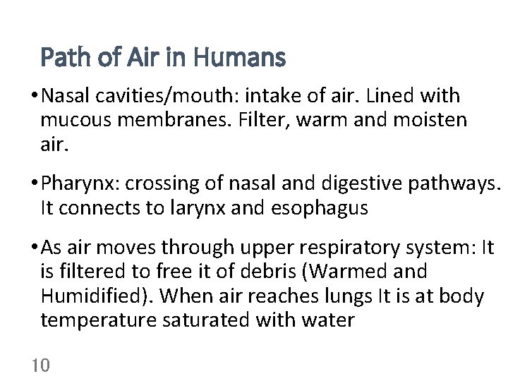 Respiratory Systems Chapter 35 BIOL 1000 Dr Mohamad