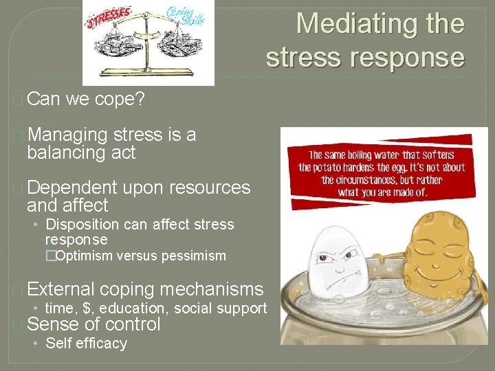 All you need to know about STRESS Megan