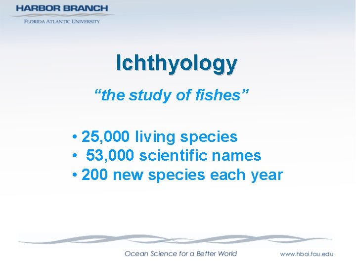 Biology of Cultured Fish Developed by the Harbor