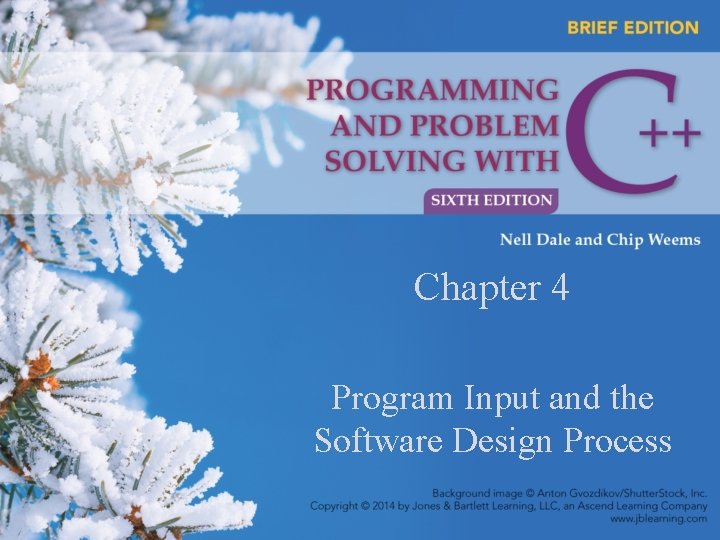 Chapter 4 Program Input and the Software Design