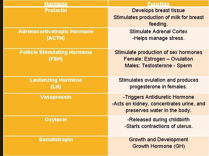 THE ENDOCRINE SYSTEM ENDOCRINE SYSTEM Contains glands that