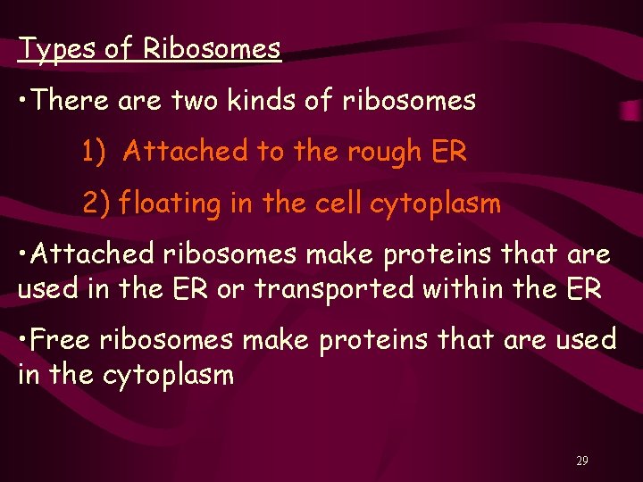 nucleus cytoplasm cytoskeleton ribosomes cell membrane vacuole mitochondria