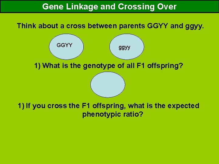 Gene Mapping Gene Therapy Review Question 2 Crossing