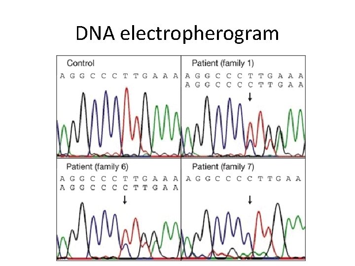 Transcription and Translation March 24 2011 What weve