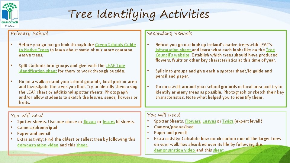 Tree Bioblitz Activity Sheet Try to identify as
