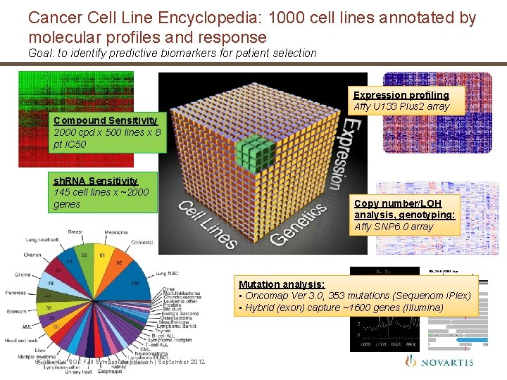 Preclinical strategies to help better identify responder populations