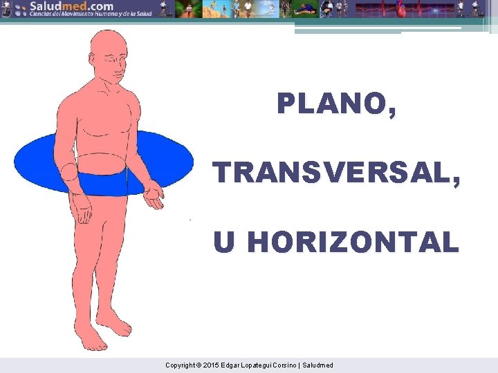 ORGANIZACIN DEL Cuerpo Humano Prof Edgar Lopategui Corsino