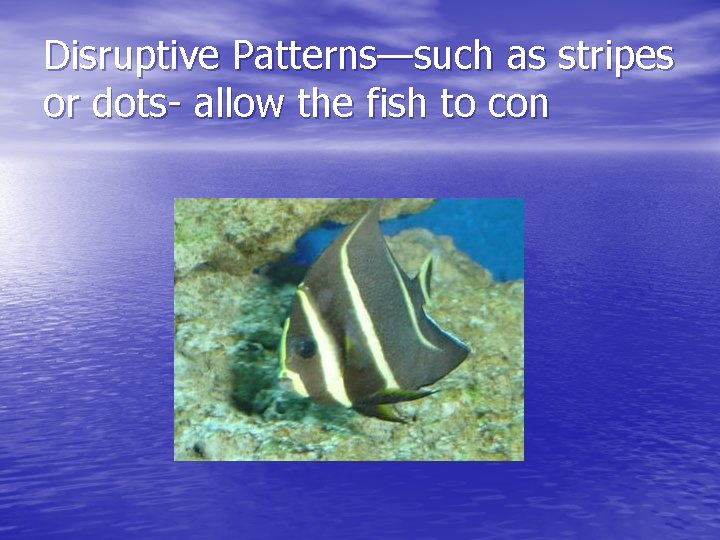 The Ocean Habitat The largest habitat on Earth