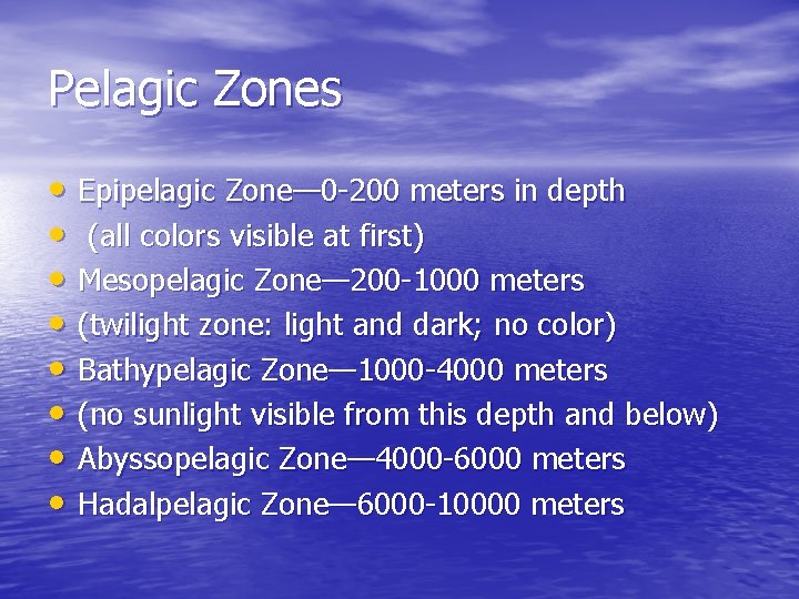 The Ocean Habitat The largest habitat on Earth