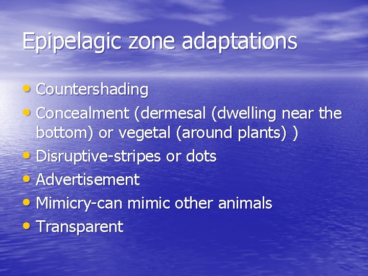 The Ocean Habitat The largest habitat on Earth