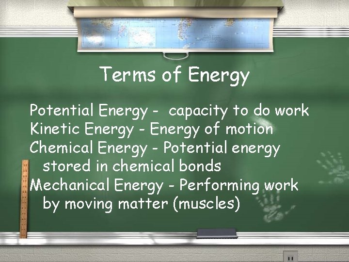 Biology 105 Chapter 7 Energy and Metabolism Pgs