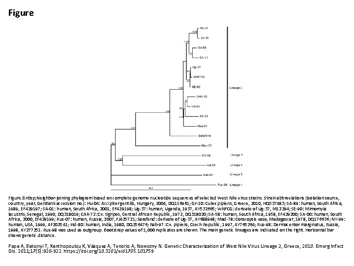 Figure nbsp Neighborjoining phylogram based on complete genome