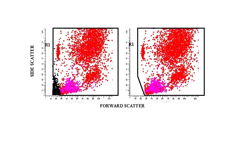 IMMUNOPHENOTYPING OF HEMATOPOIETIC PROGENITOR CELLS BY MULTIPARAMETER FLOW