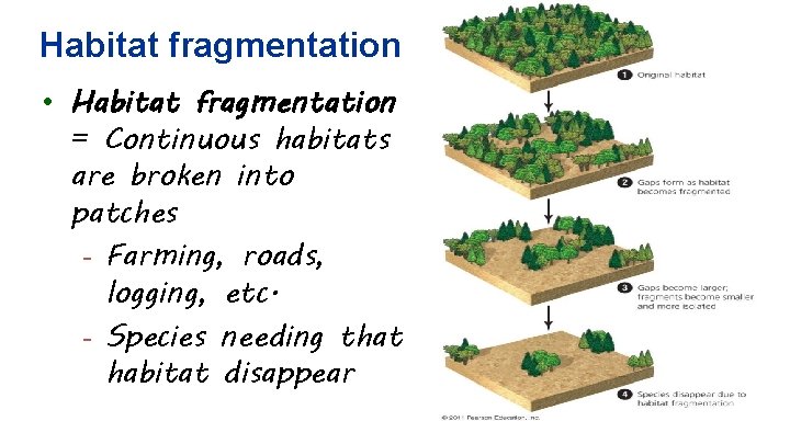 Day 6 Invasive Species Habitat alteration causes biodiversity